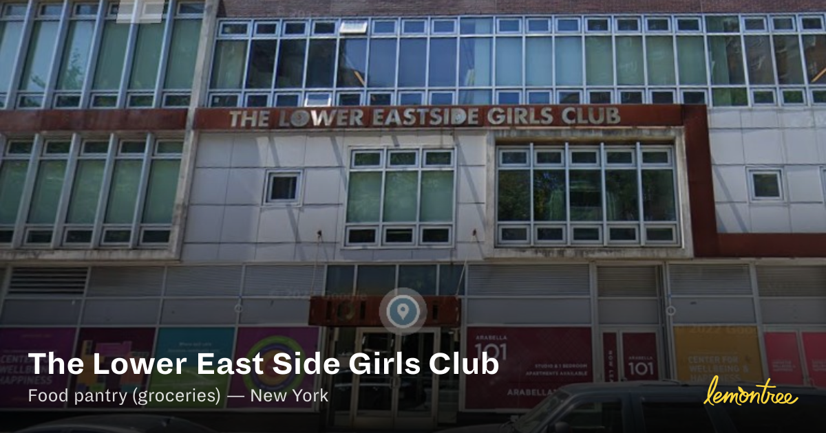 The Lower East Side Girls Club — Lemontree