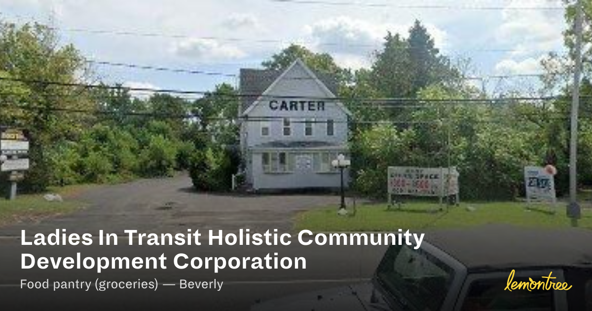Ladies In Transit Holistic Community Development Corporation — Lemontree