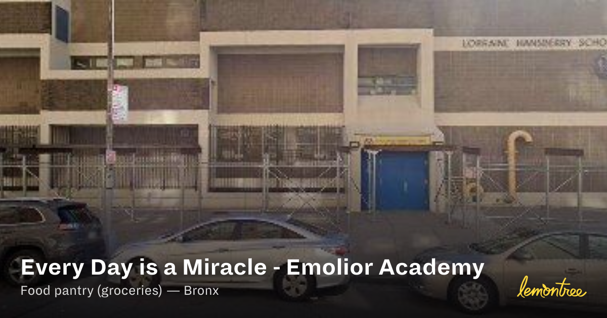 Every Day is a Miracle - Emolior Academy — Lemontree