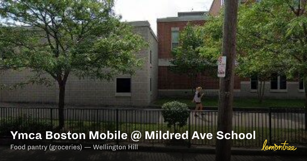 Ymca Boston Mobile @ Mildred Ave School — Lemontree