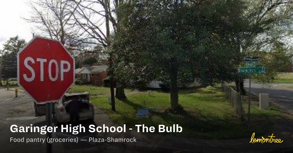 Garinger High School - The Bulb — Lemontree